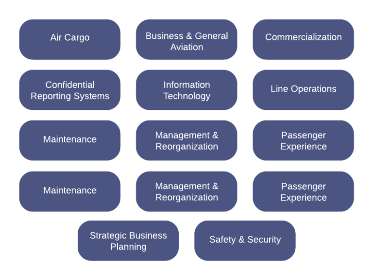 Airlines | Aviation Strategies International
